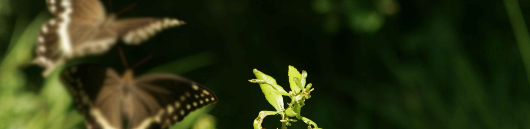 Age Partnership | Award Winning Retirement Specialists